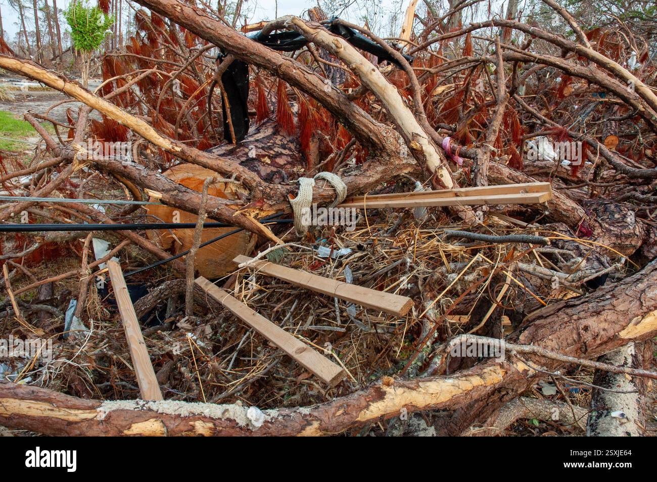 Hurricane Katrina Aftermath Stock Photo - Alamy