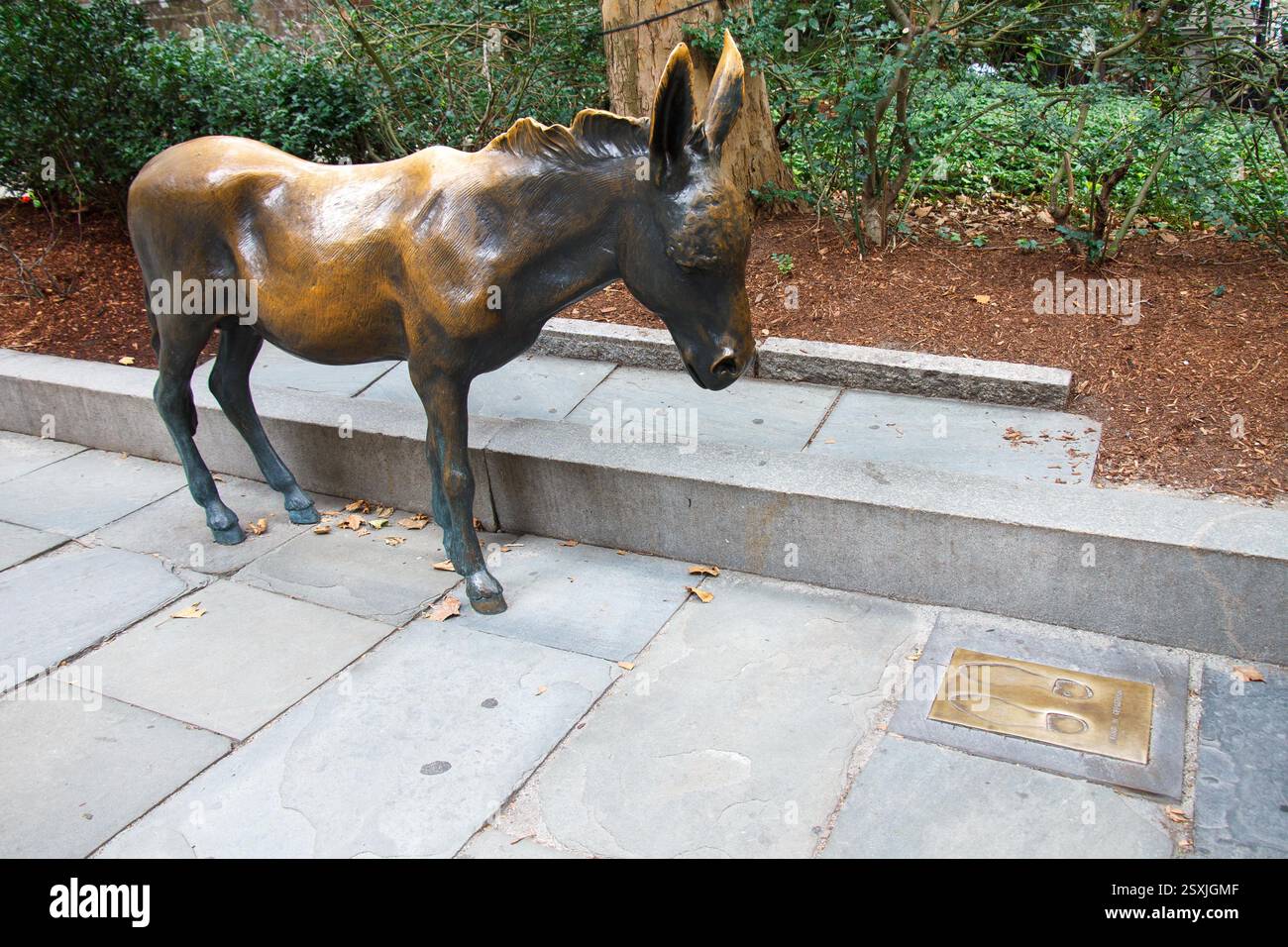 The Democratic donkey statue staring at a couple of footprints with the ...