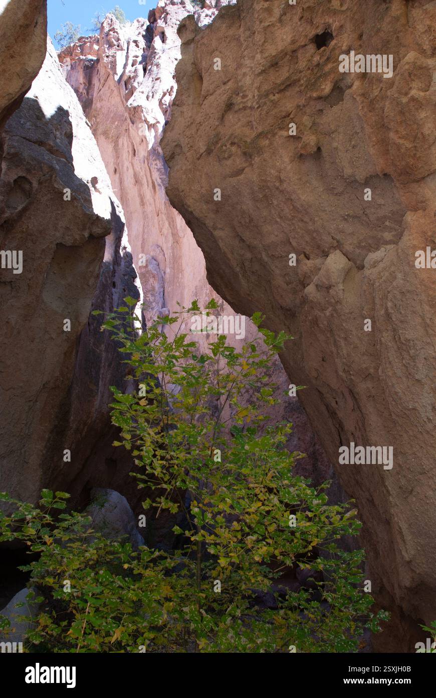 Bandelier National Monument Stock Photo - Alamy