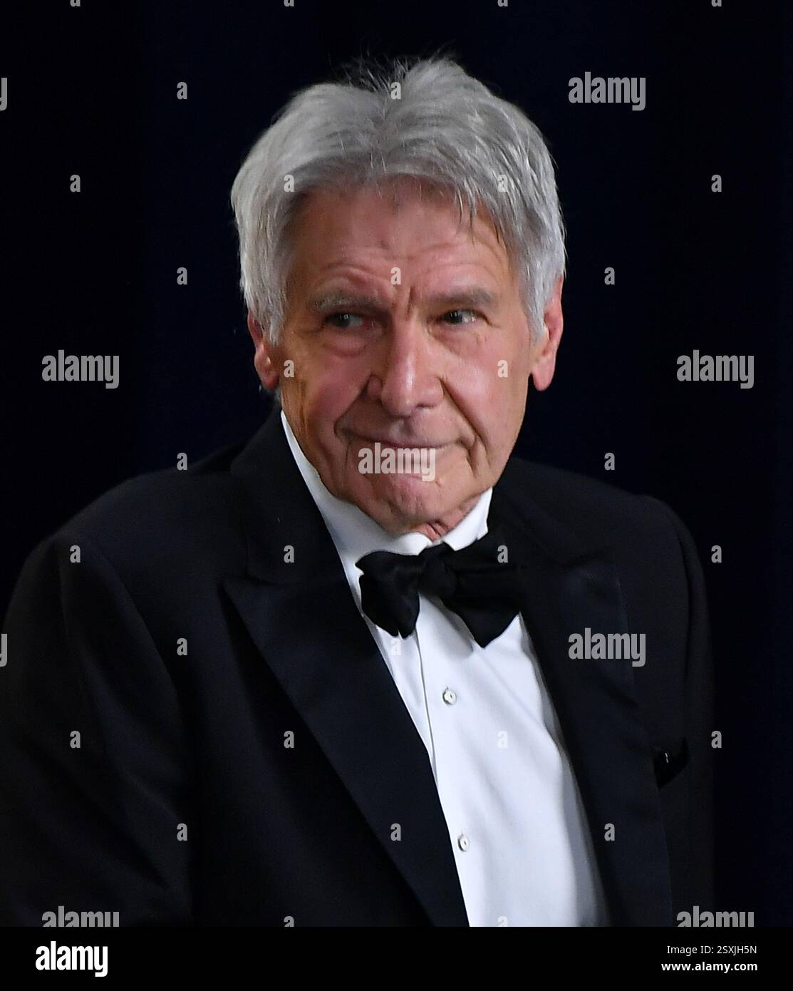 Harrison Ford attends the 31st Annual Screen Actors Guild Awards at ...