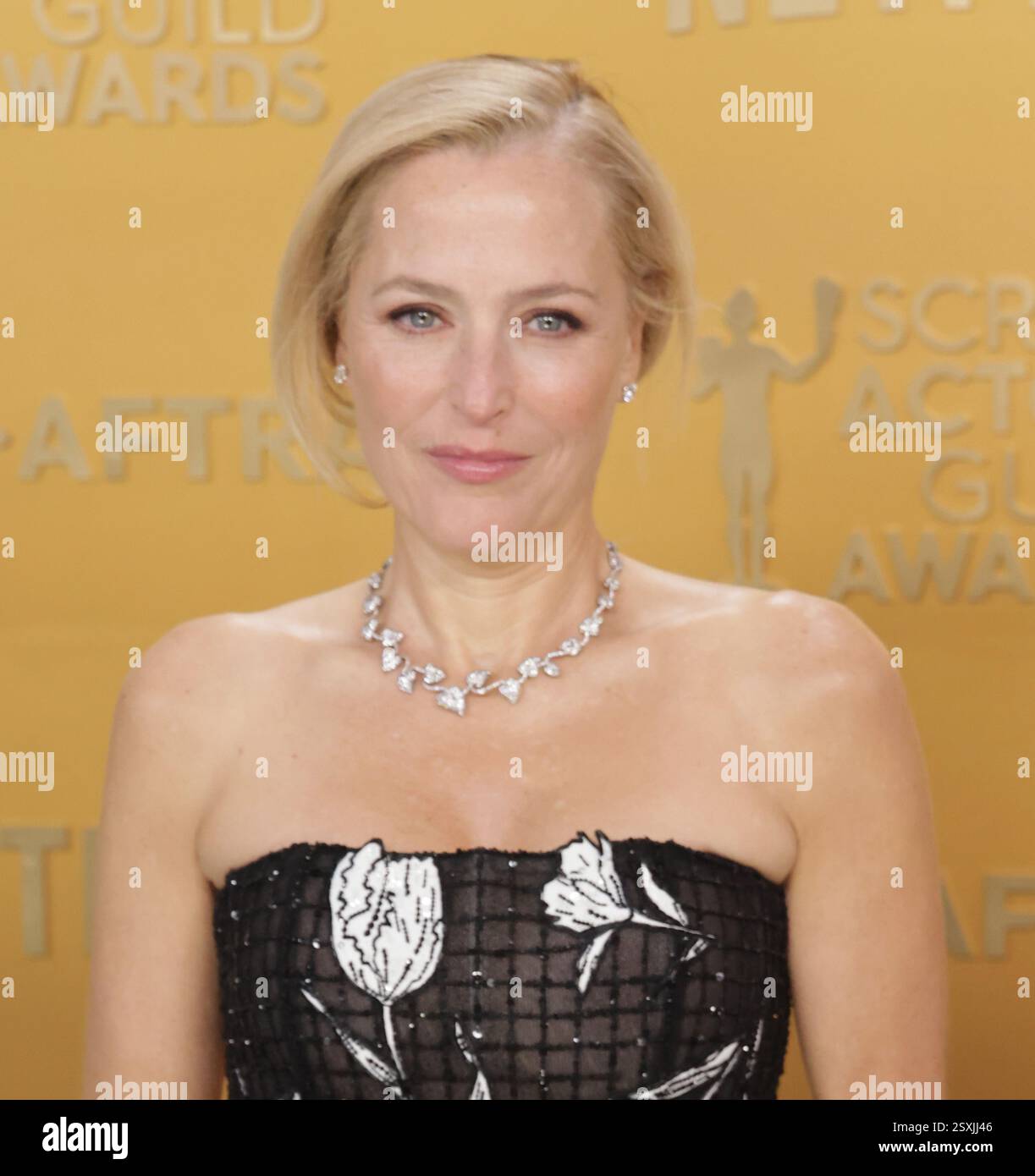 Gillian Anderson attends the 31st Annual Screen Actors Guild Awards at ...