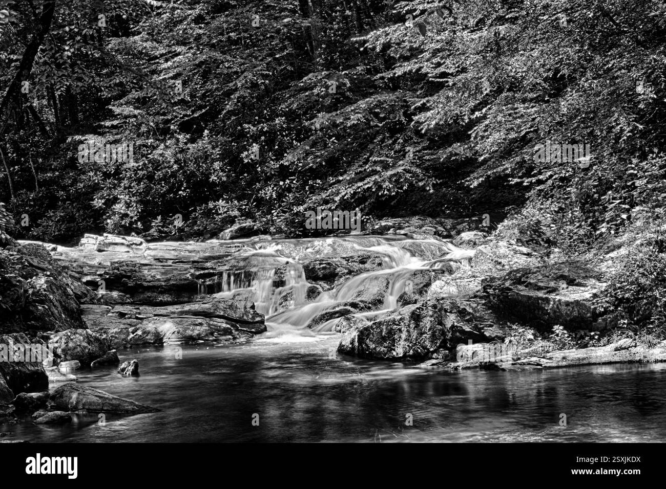 Stream of water flows down a rocky hillside. The water is clear and ...