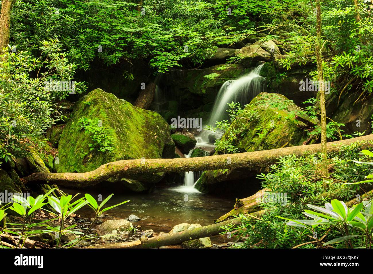 Calm river flows through green hi-res stock photography and images - Alamy