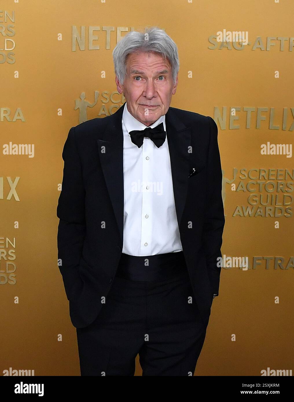 Harrison Ford attends the 31st Annual Screen Actors Guild Awards at ...