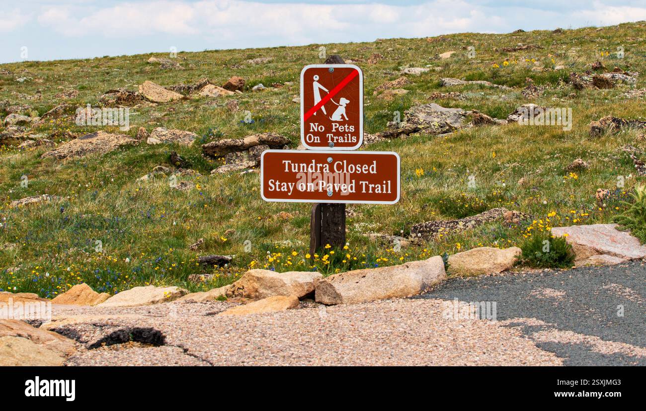 Tundra area features a sign prohibiting pets on trails and warning ...