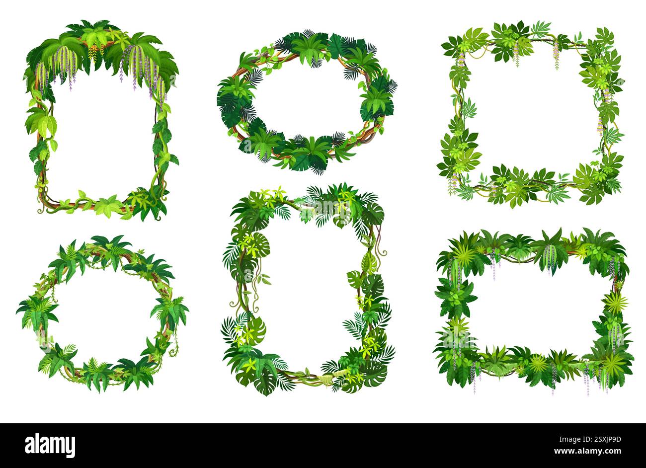 Tropical jungle frames of forest liana branches and leaves or ivy vines ...