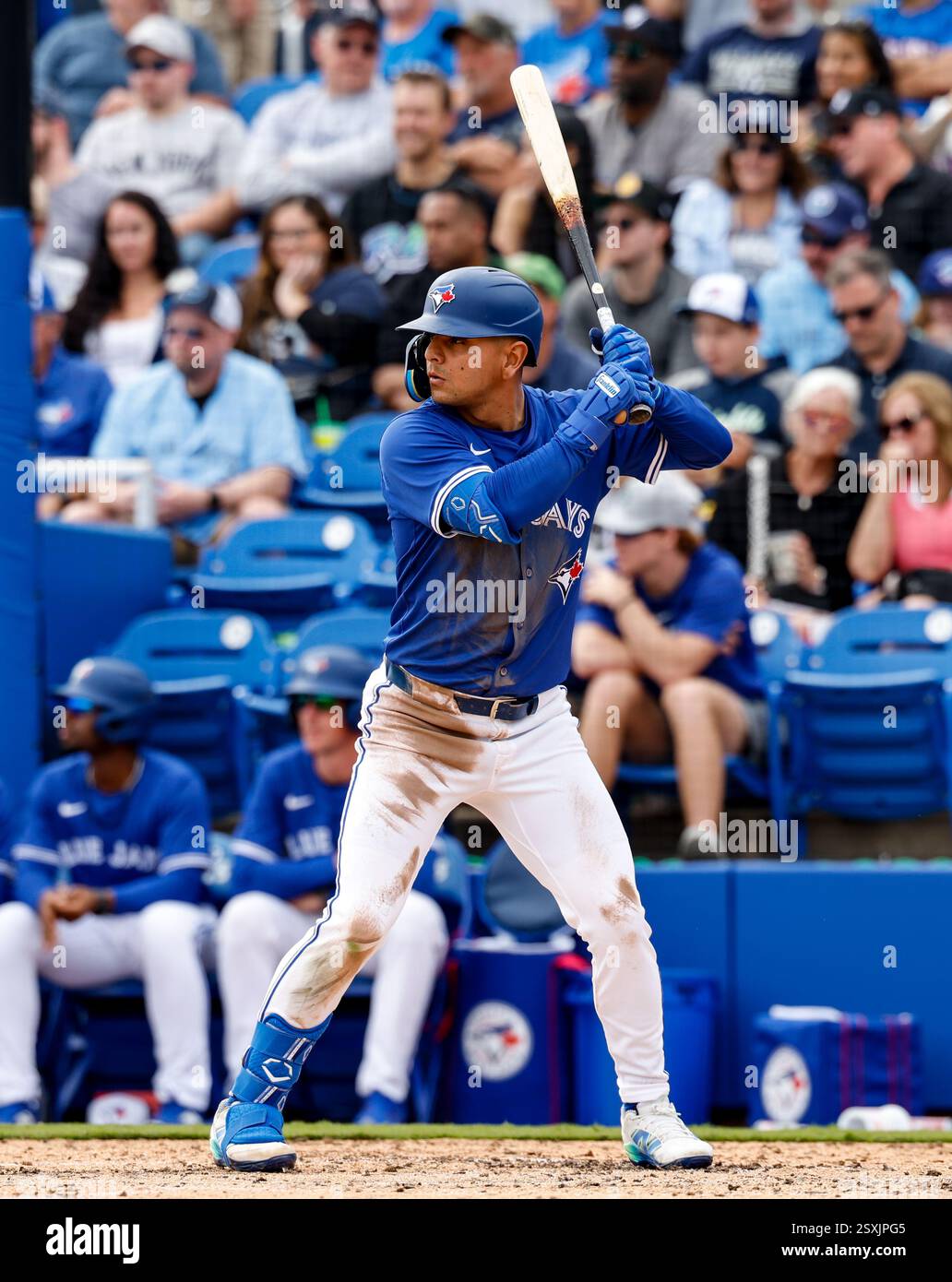 Toronto Blue Jays infielder Andres Gimenez at bat at a baseball game ...