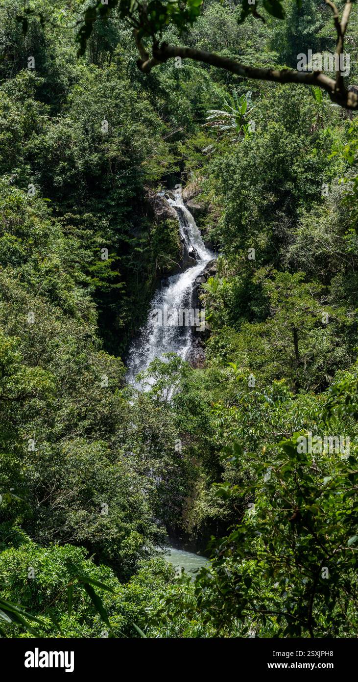 Distant waterfall amidst lush hi-res stock photography and images - Alamy