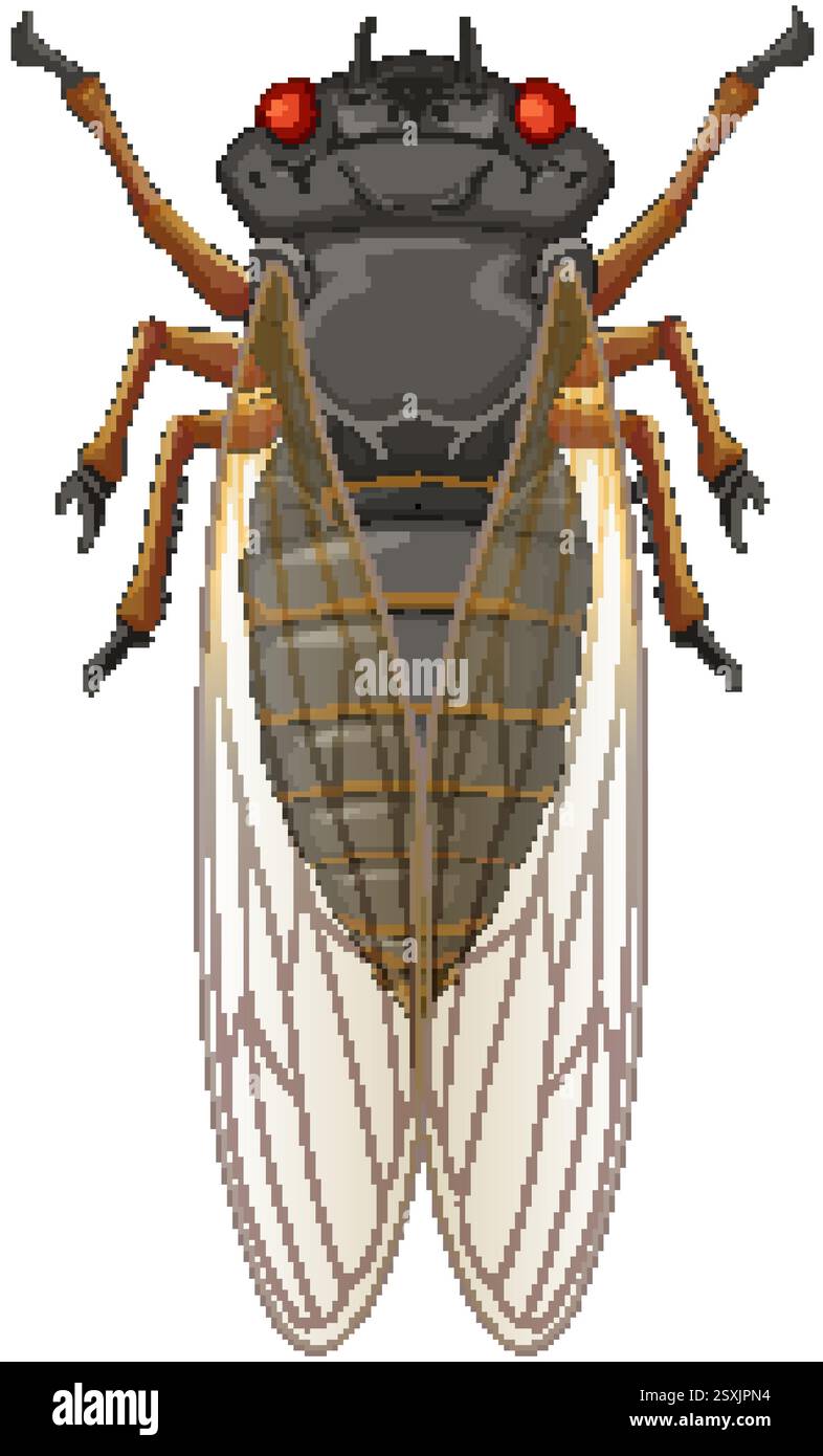 A realistic depiction of a cicada with wings Stock Vector Image & Art ...