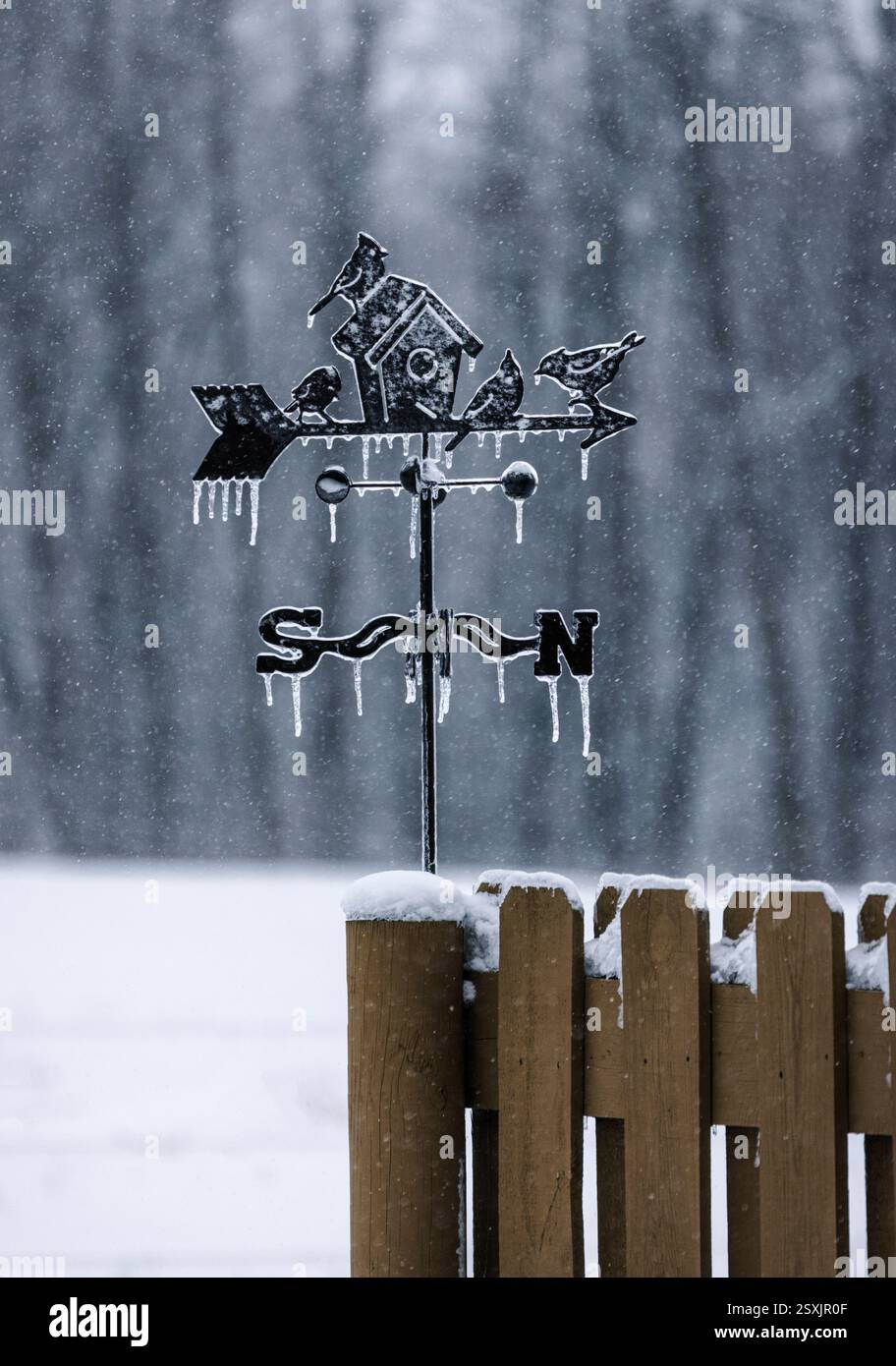 Weather wind weathervane hi-res stock photography and images - Alamy
