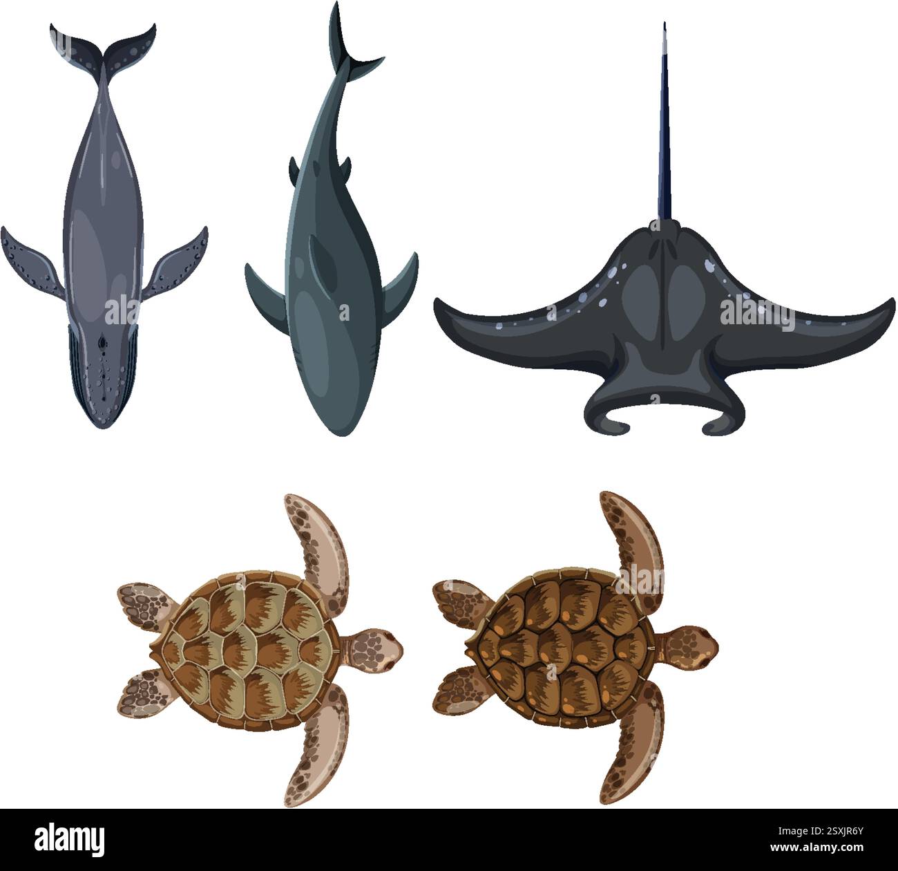 View sea life from Stock Vector Images - Alamy