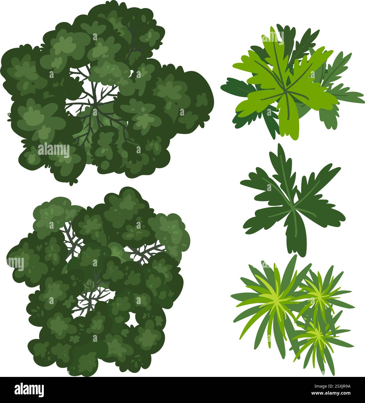 Illustration of various green plants from above Stock Vector Image ...