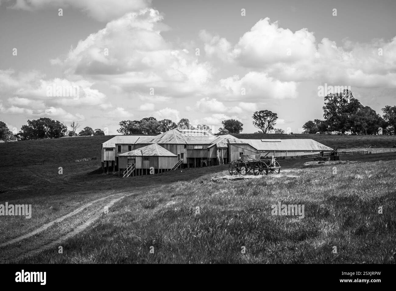 historic old errowanbang shearing shed Stock Photo - Alamy