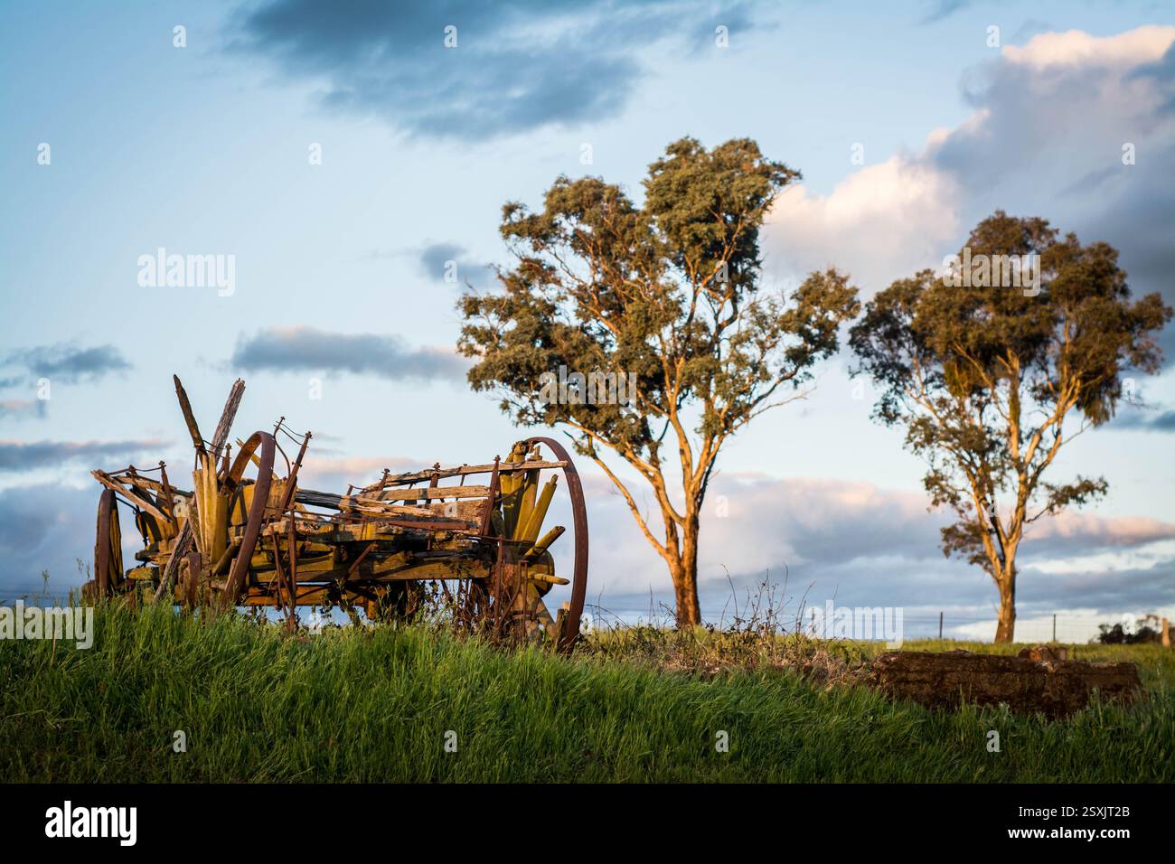 Food left to rot hi-res stock photography and images - Alamy
