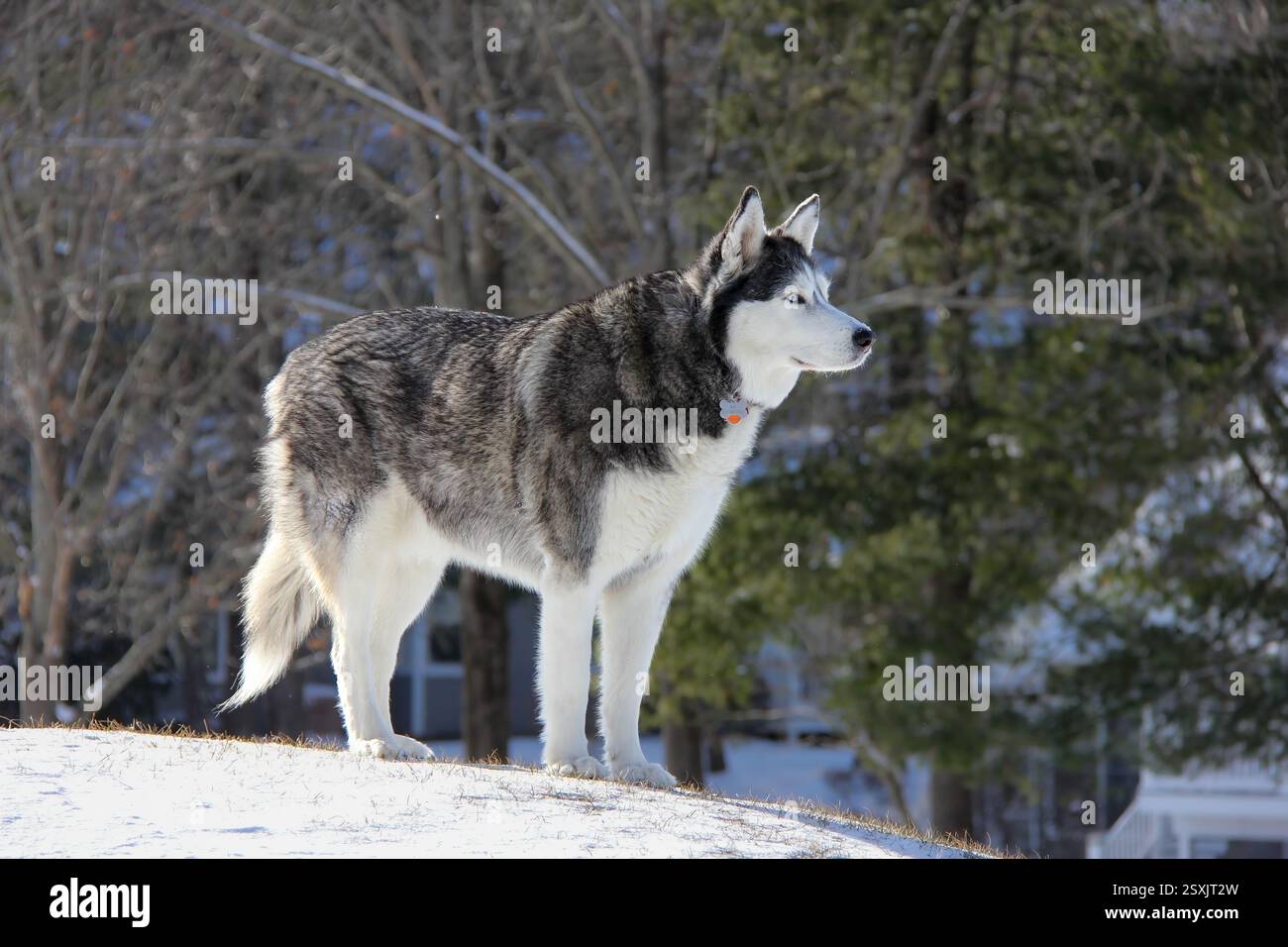 Hyper immersive hi-res stock photography and images - Alamy