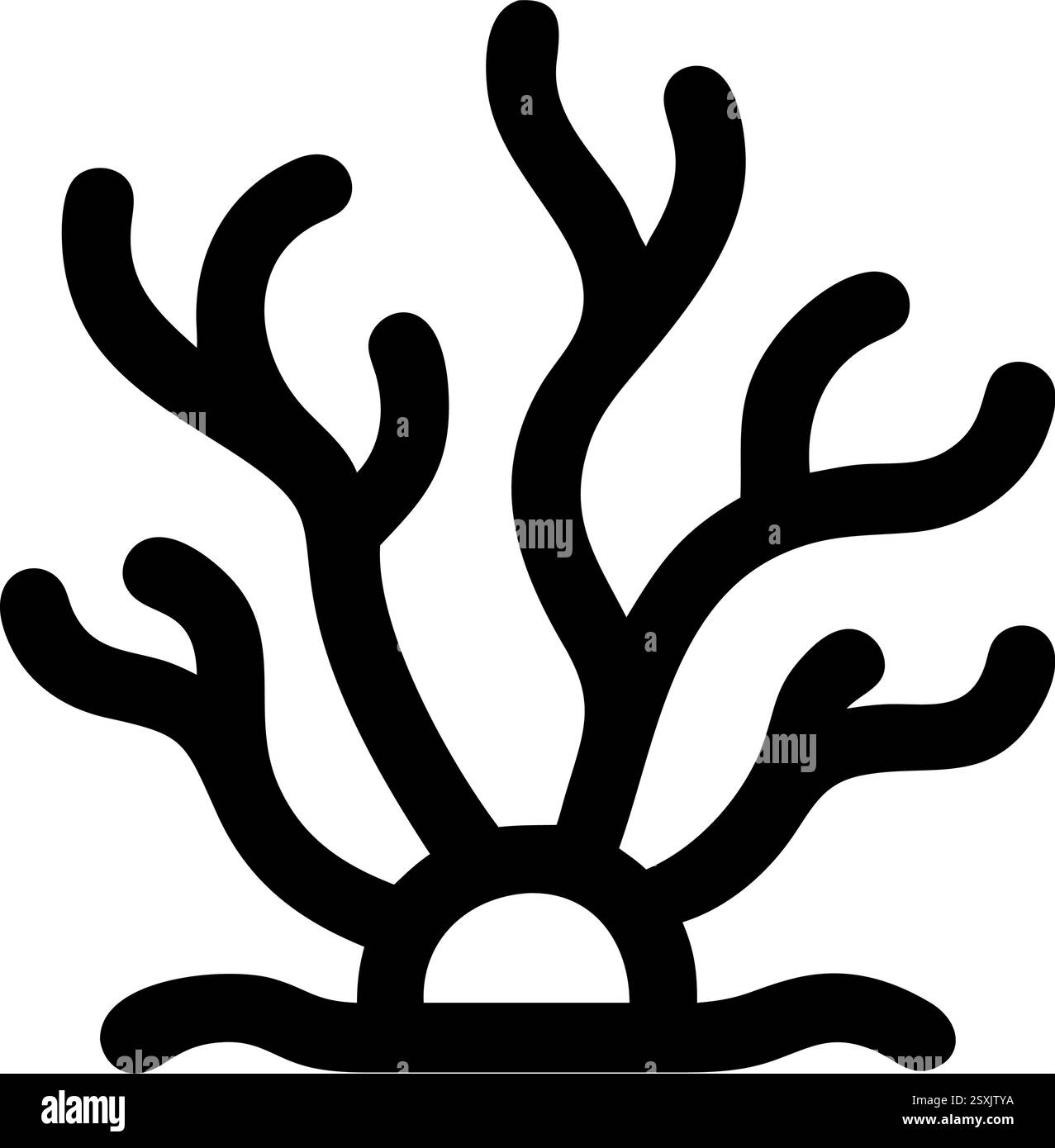 Australian marine biodiversity Cut Out Stock Images & Pictures - Alamy