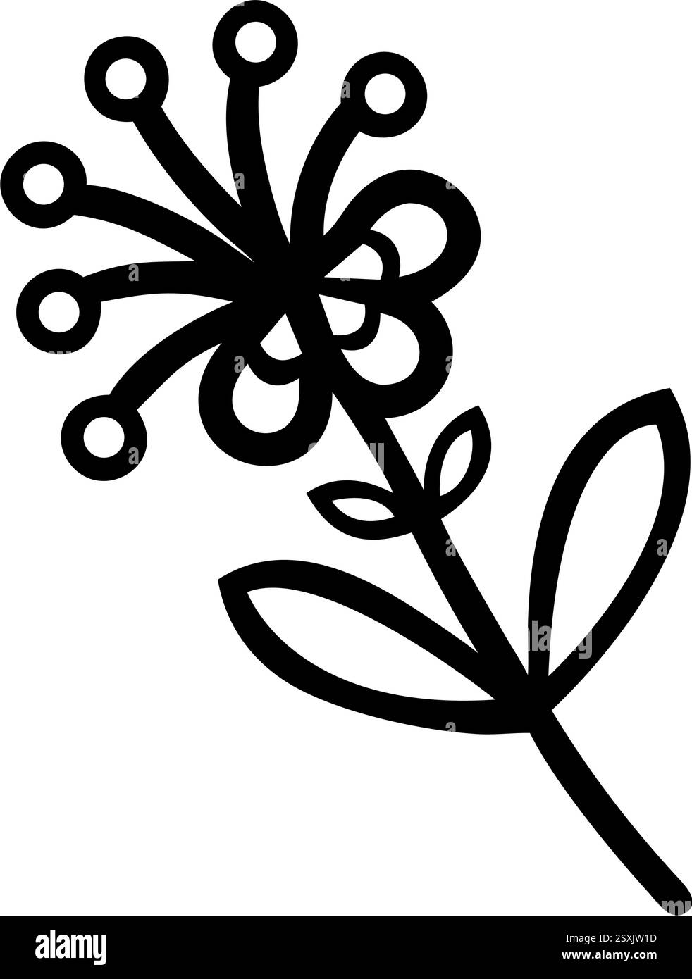 Australia wattle flower icon Stock Vector Image & Art - Alamy