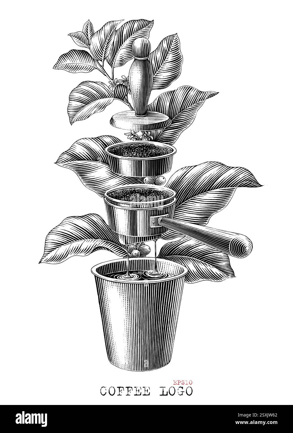 Coffee shop lodo design hand draw vintage engraving style black and ...