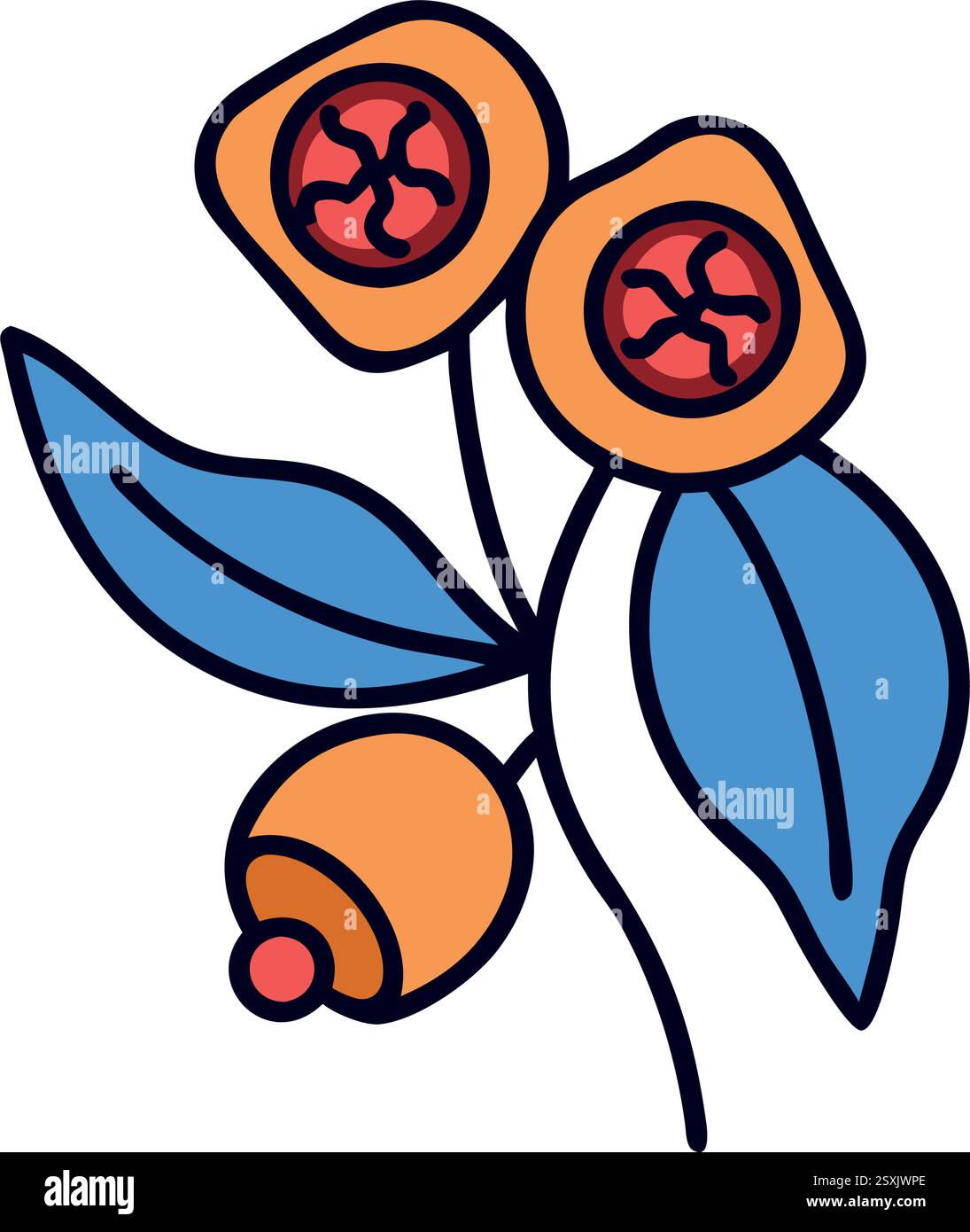 Australia native flora Stock Vector Images - Alamy
