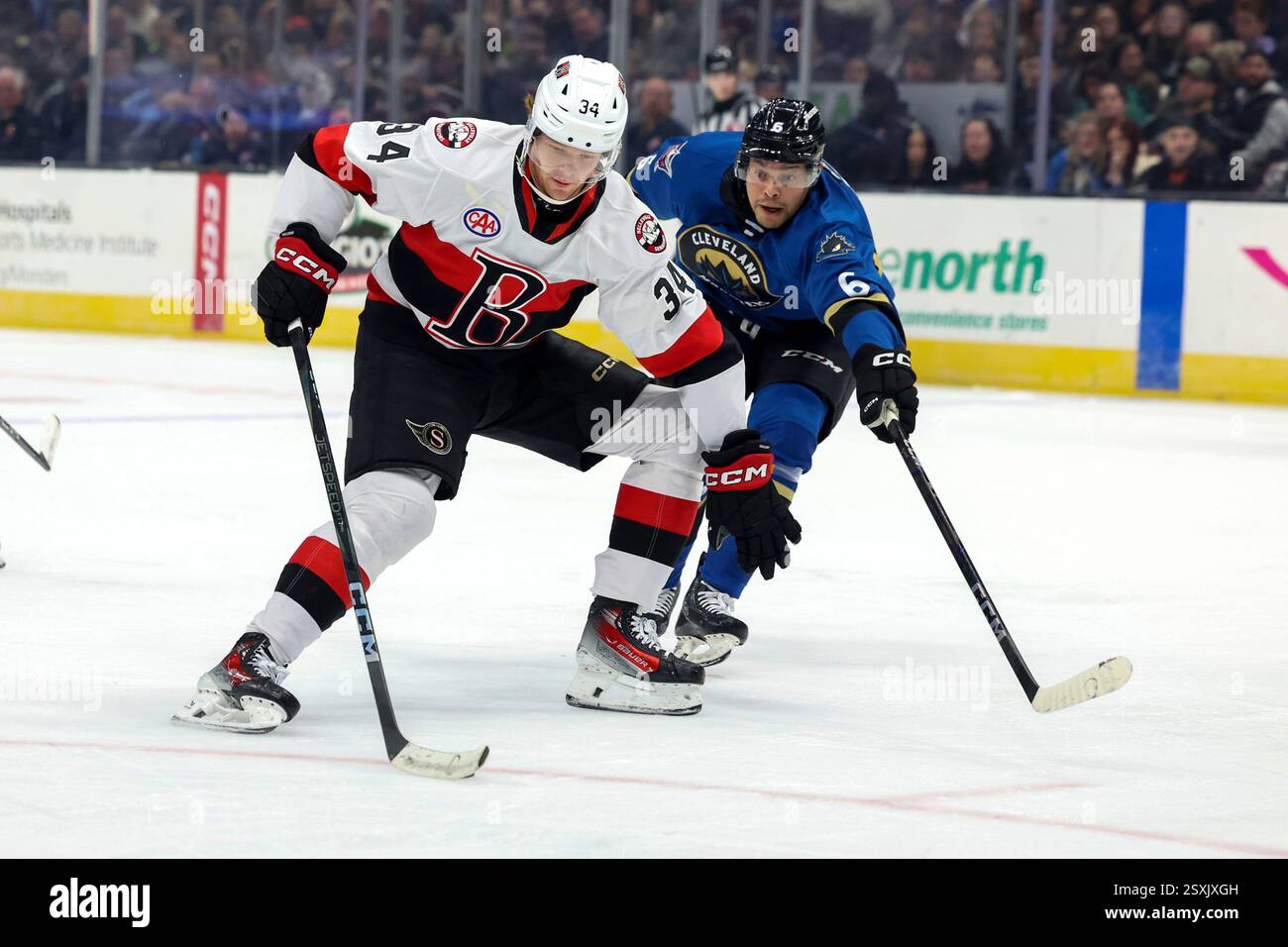 CLEVELAND, OH - FEBRUARY 24: Belleville Senators center Stephen ...