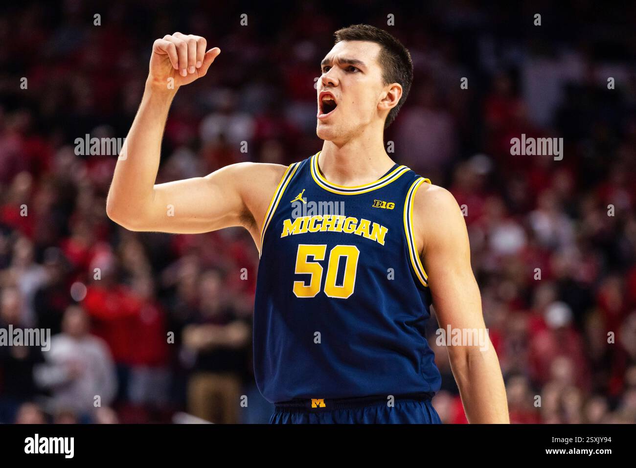 Michigan center Vladislav Goldin reacts after a free throw during the ...