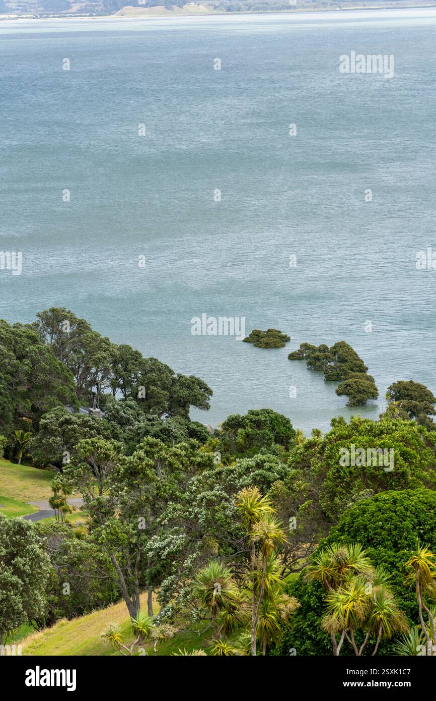 Green New Zealand bush and pohutukawa trees leading down slope to ...