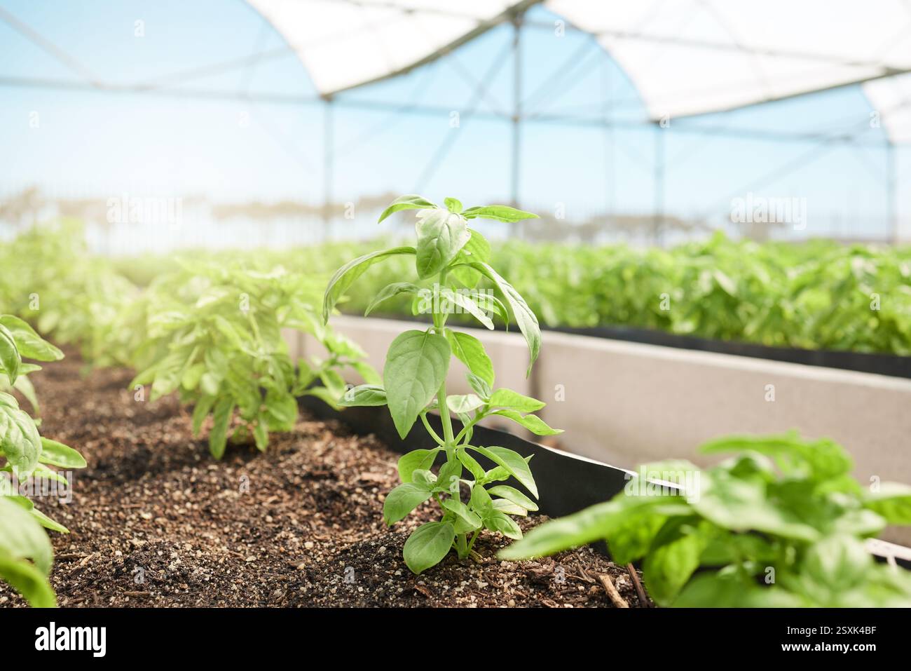 Fertilizer production plant outside hi-res stock photography and images ...