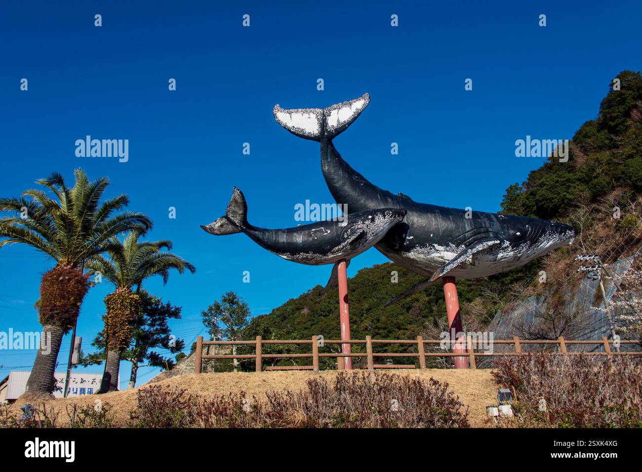 Photo shows the coastal town of Taiji in Wakayama Prefecture, Japan ...