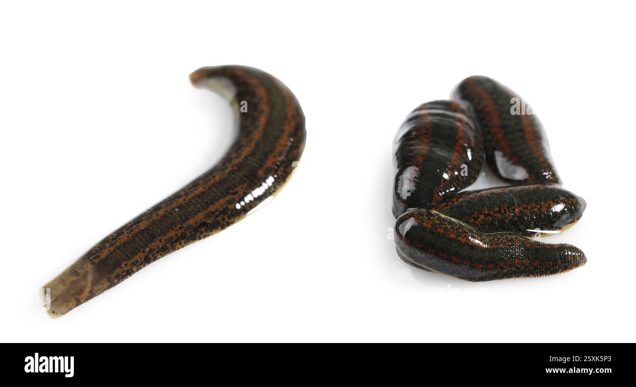 Traditional alternative therapy medicine Cut Out Stock Images ...