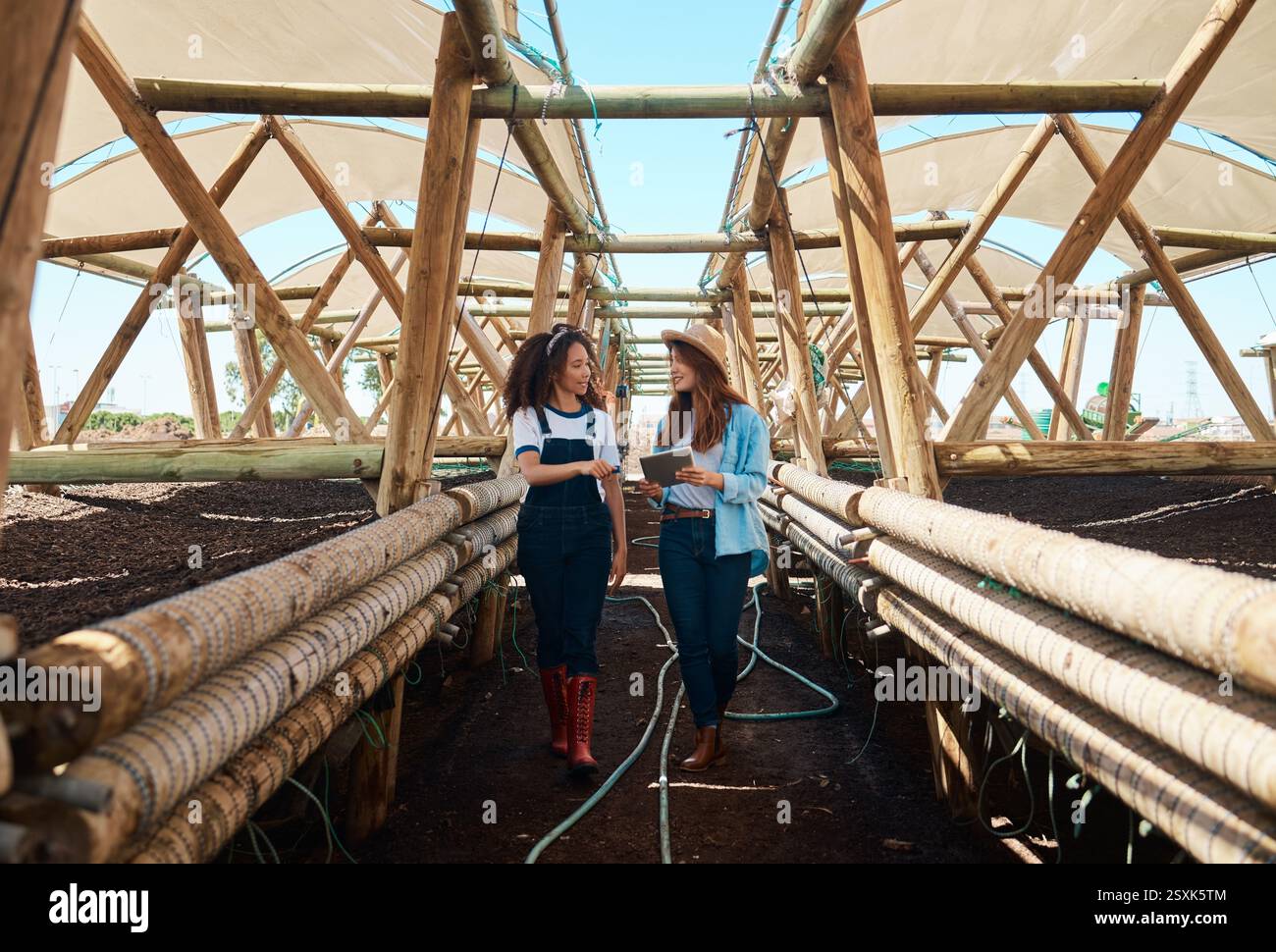 People, team and tablet for greenhouse work, agriculture production and online for inspection ...