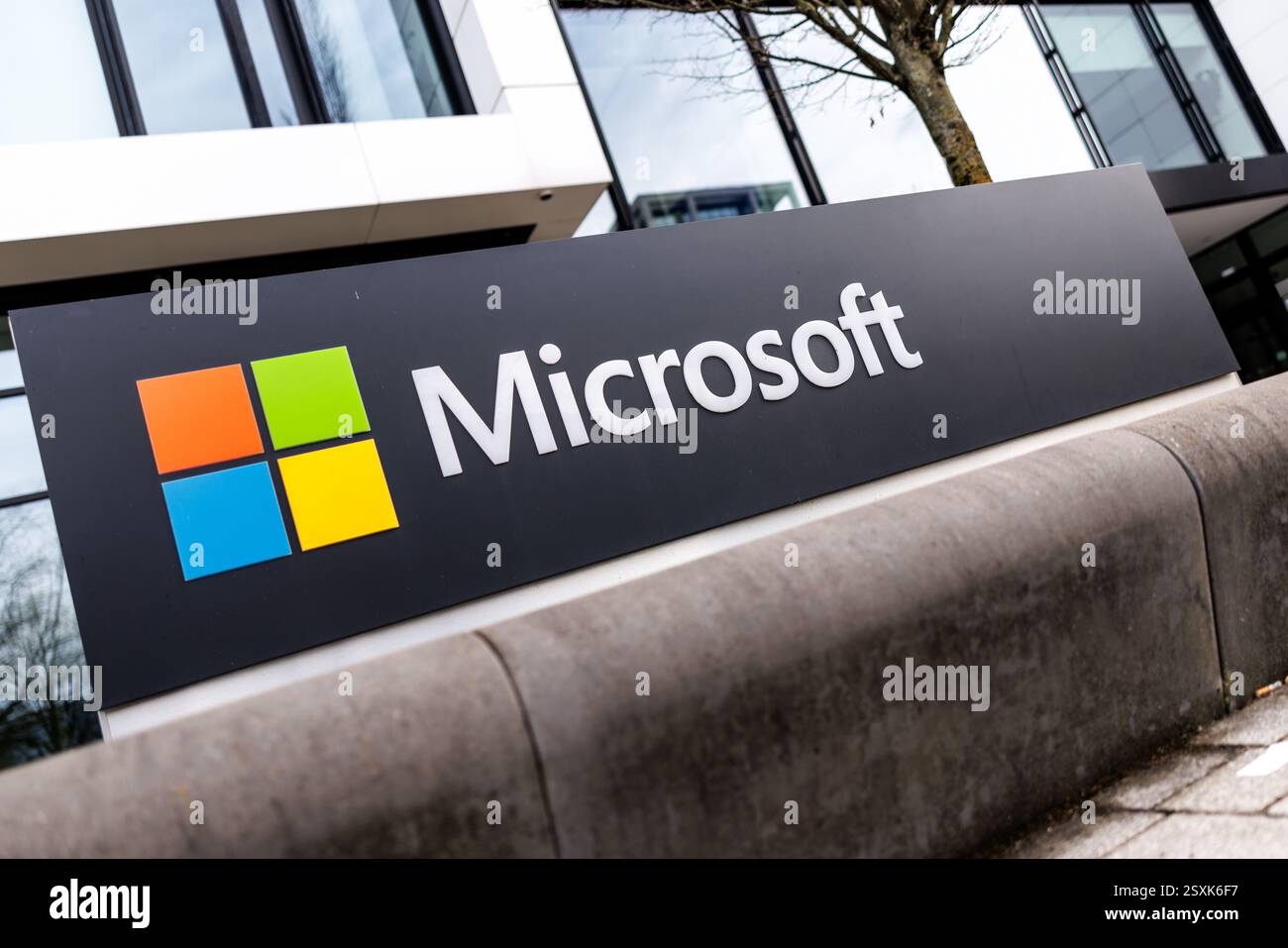 Munich, Germany. 24th Feb, 2025. The Microsoft logo and lettering can ...