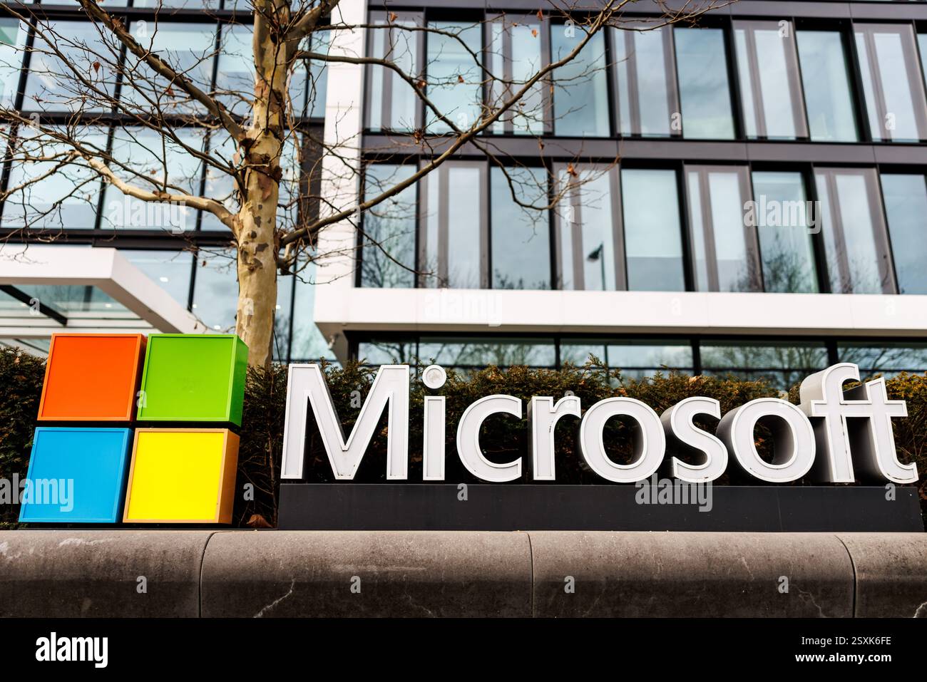 Munich, Germany. 24th Feb, 2025. The Microsoft logo and lettering can ...