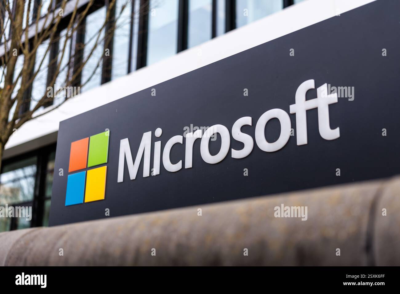 Munich, Germany. 24th Feb, 2025. The Microsoft logo and lettering can ...