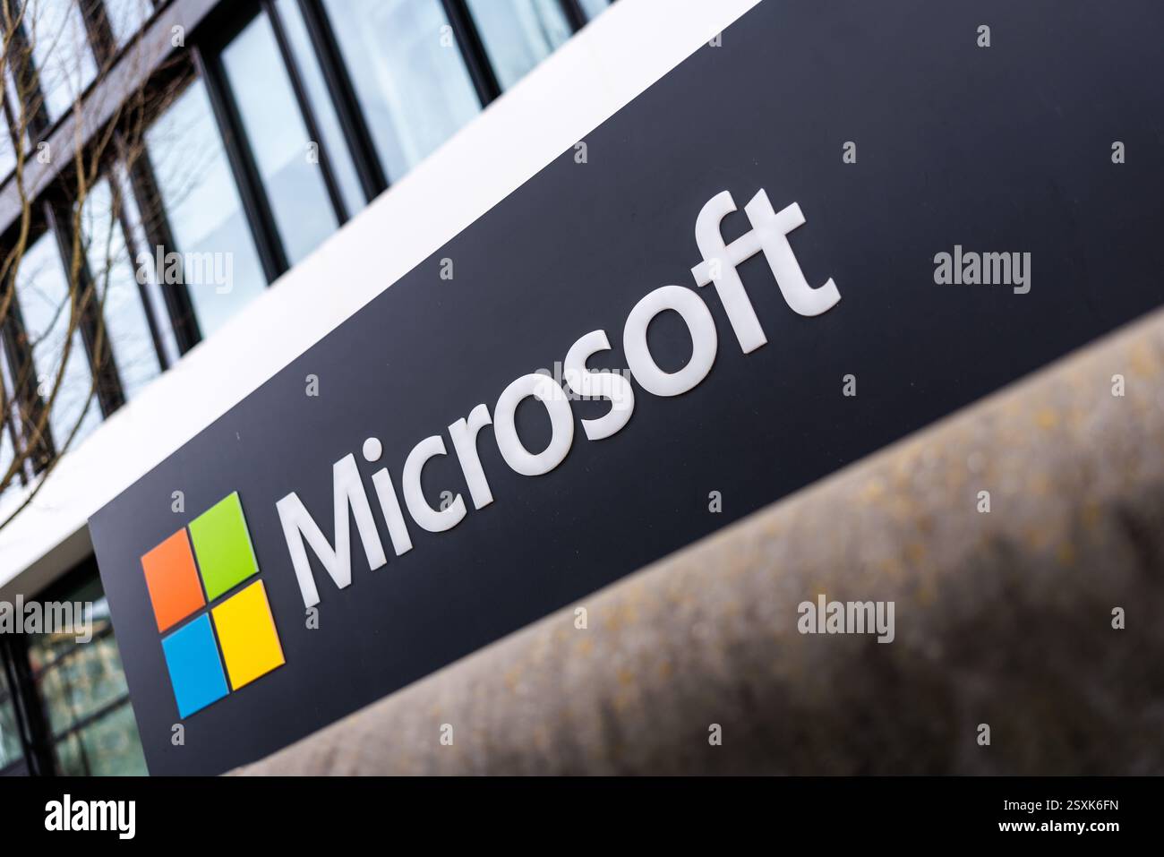 Munich, Germany. 24th Feb, 2025. The Microsoft logo and lettering can ...