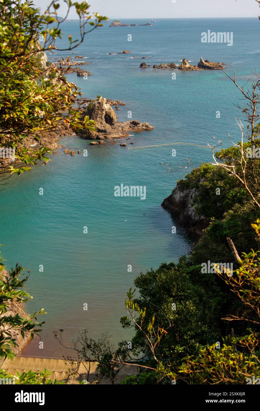 Photo shows the dolphin hunts that take place in Taiji Town, Wakayama ...