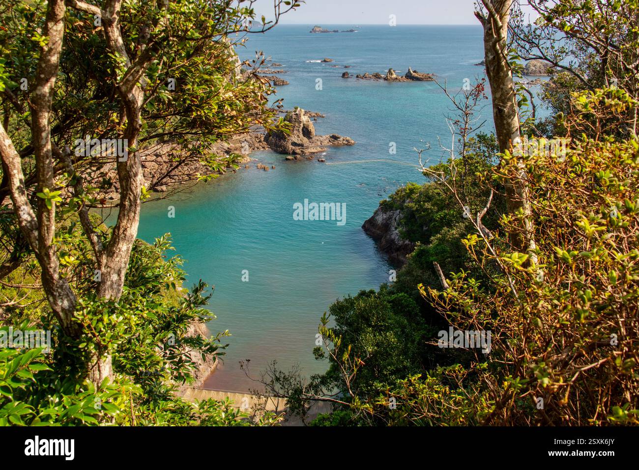 Photo shows the dolphin hunts that take place in Taiji Town, Wakayama ...