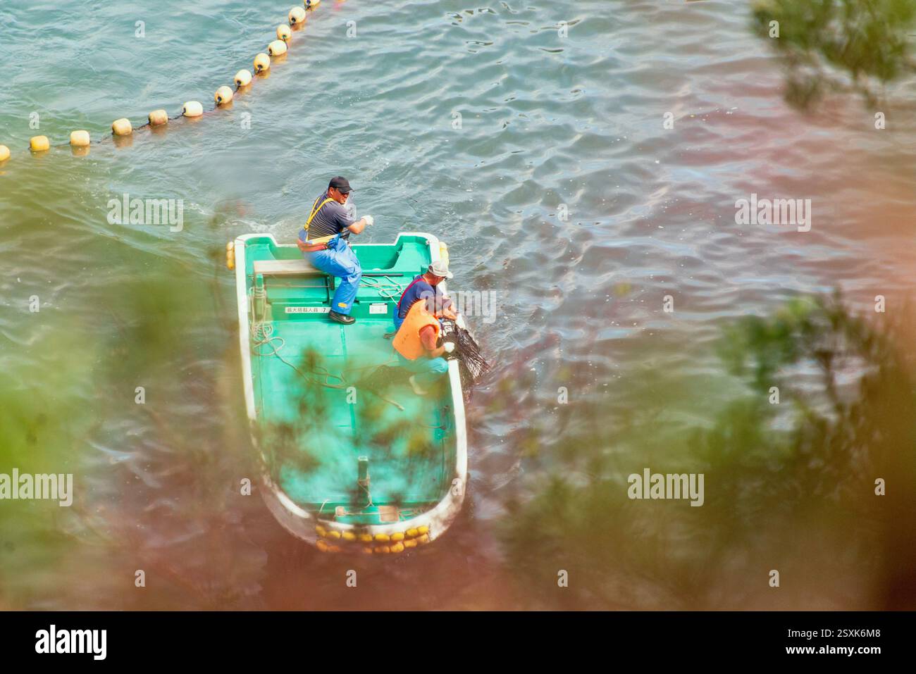 Photo shows the dolphin hunts that take place in Taiji Town, Wakayama ...