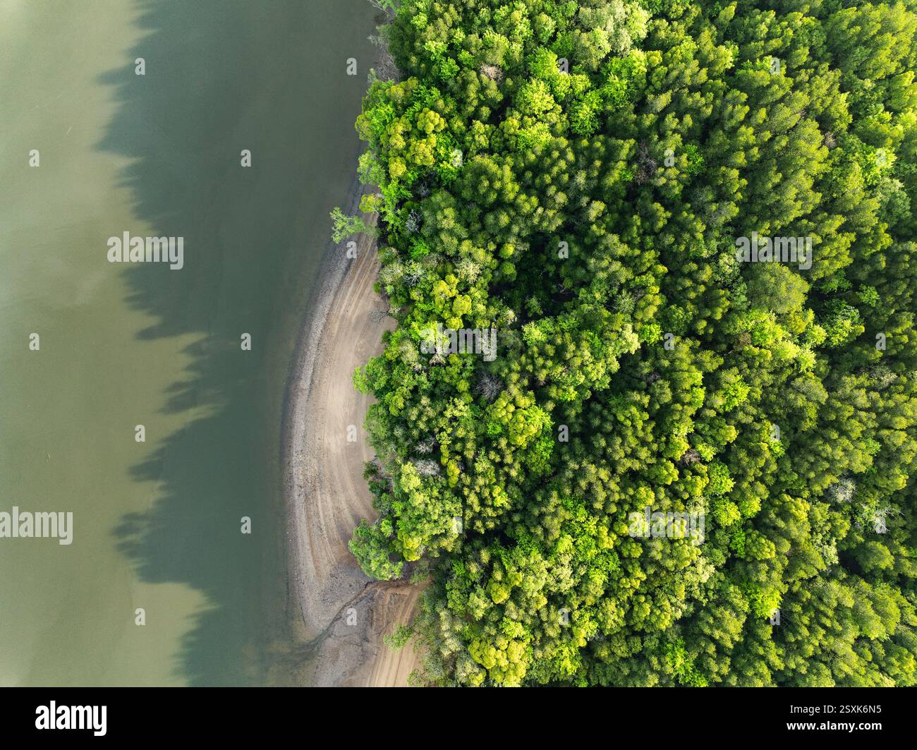 Top view Forest lake landscape,Rainforest ecosystem and healthy ...
