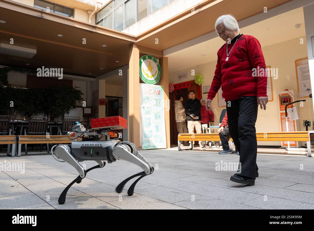 Hangzhou,China.24th February 2025. Robotic dog "Xiao Xi" accompanies an ...