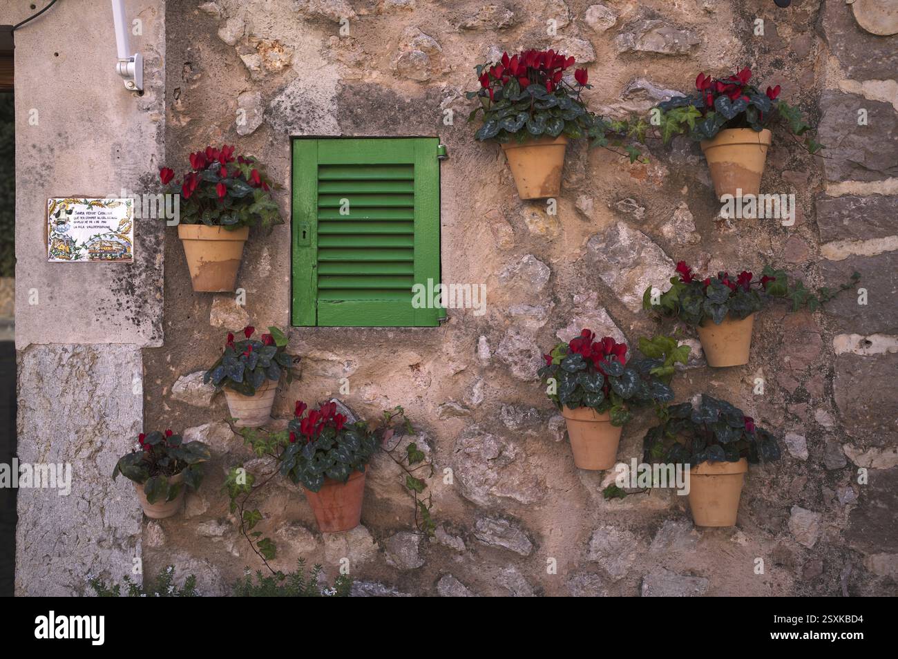 Flower pots on the wall, alleyway of plants, alley, Valldemossa ...