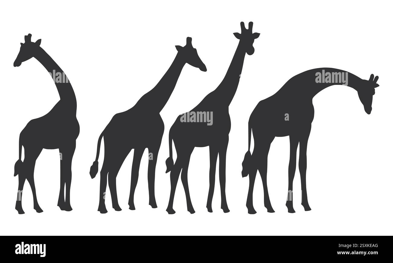 Wild Animal Long Neck Giraffe Silhouette. Black Giraffe Silhouette on ...