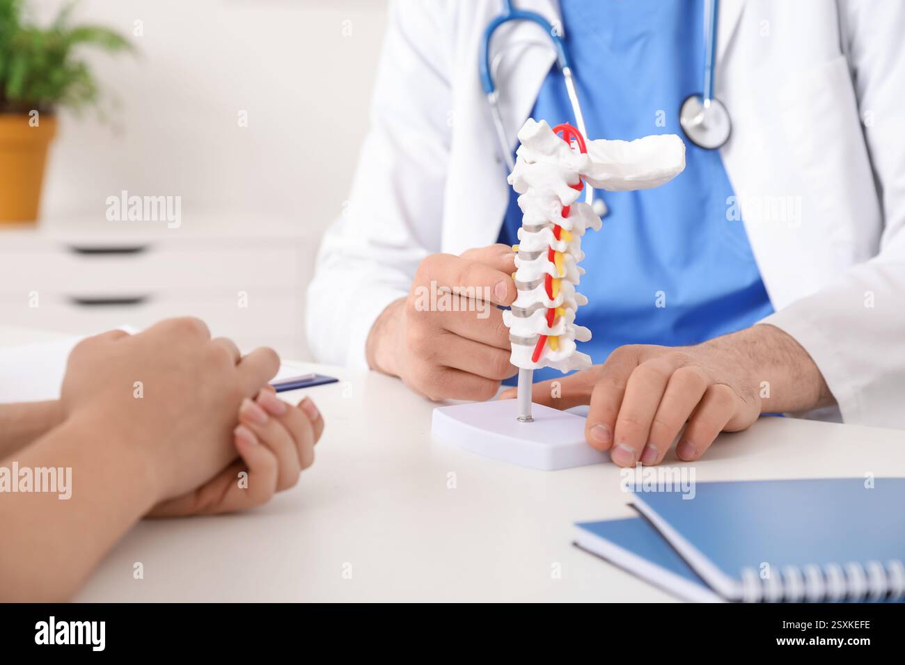 Male doctor explaining spinal anatomy with vertebral column model to ...