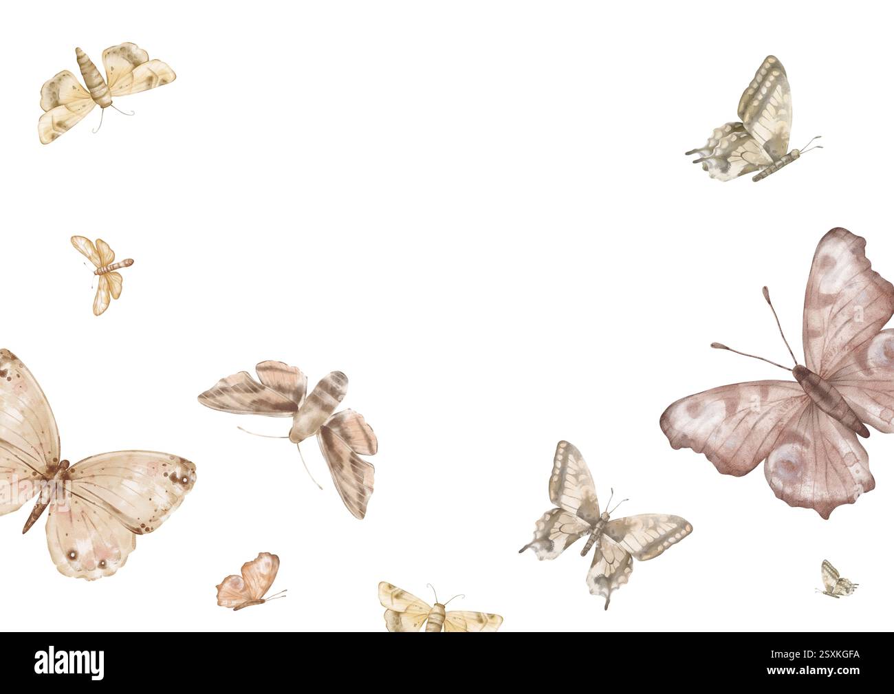 Rectangular frame with Butterflies Monarch and other flying. delicate ...