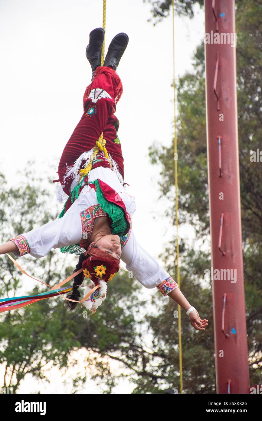 Mexico City, Mexico. 21st Feb, 2025. Female Voladoras de Papantla ...