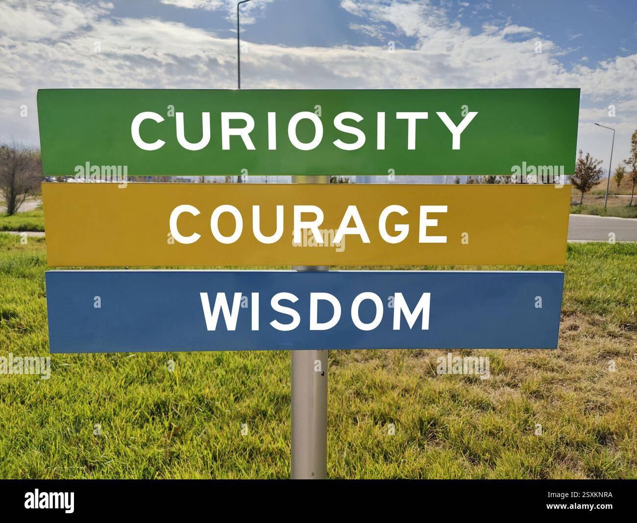 Curiosity, Courage, and Wisdom: The Pillars of Personal Growth and ... Curiosity, Courage, and Wisdom: The Pillars of Personal Growth and ...