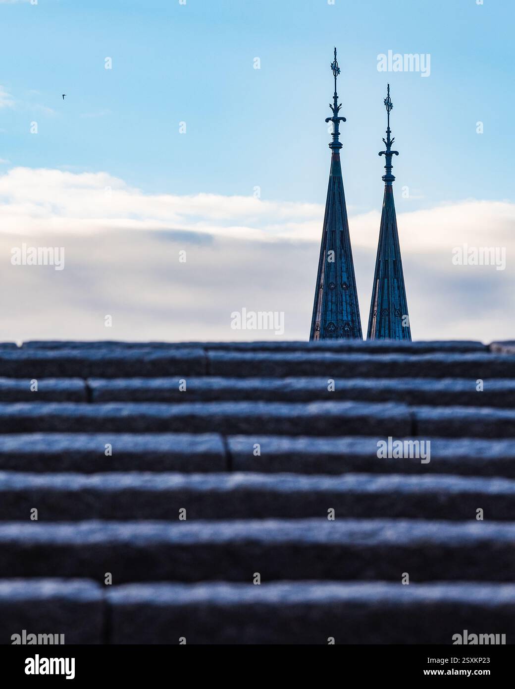 Image captures stunning detail hi-res stock photography and images - Alamy