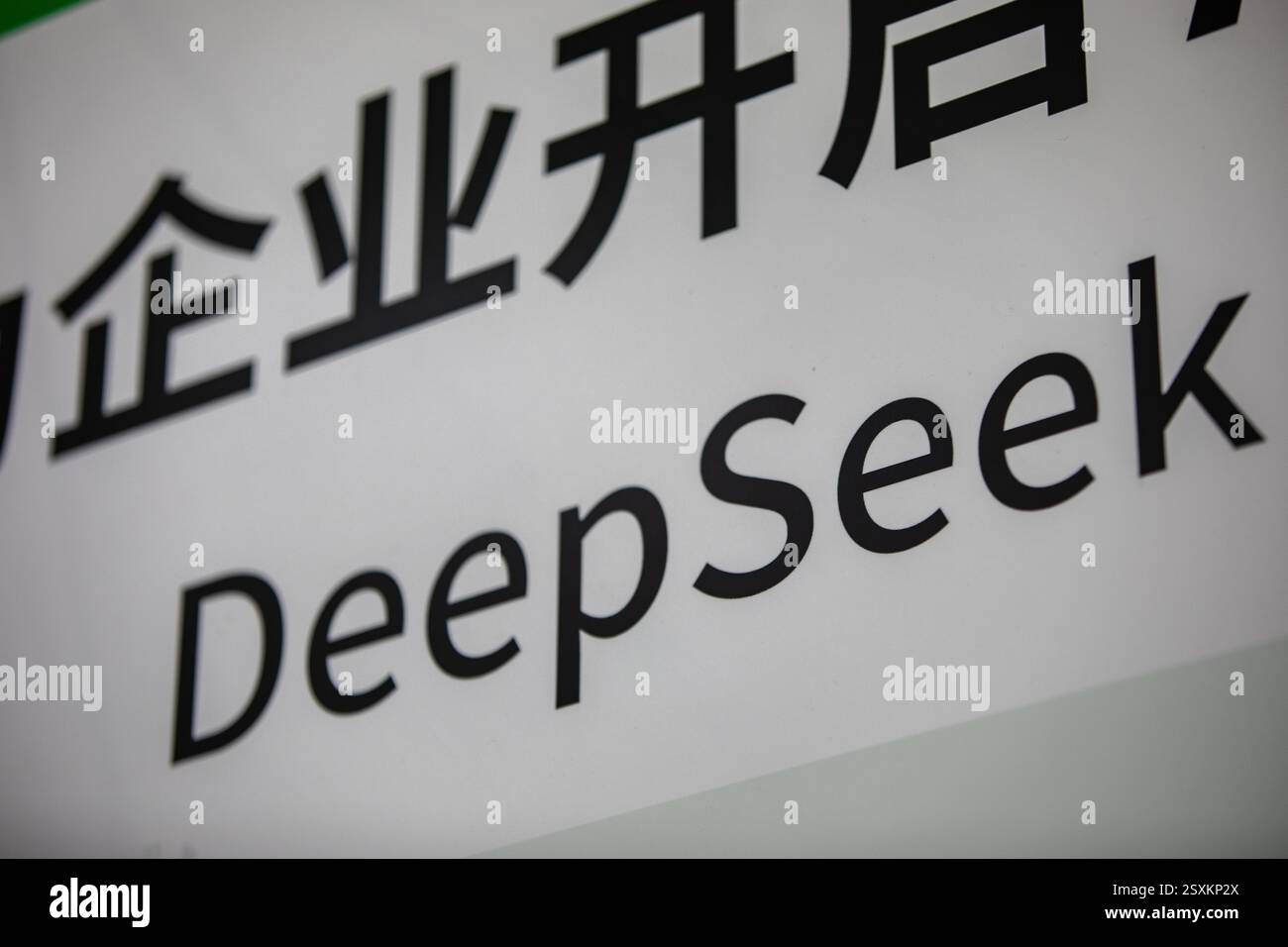 The 2025 Global Developer Conference (GDC) is held in Shanghai, China ...