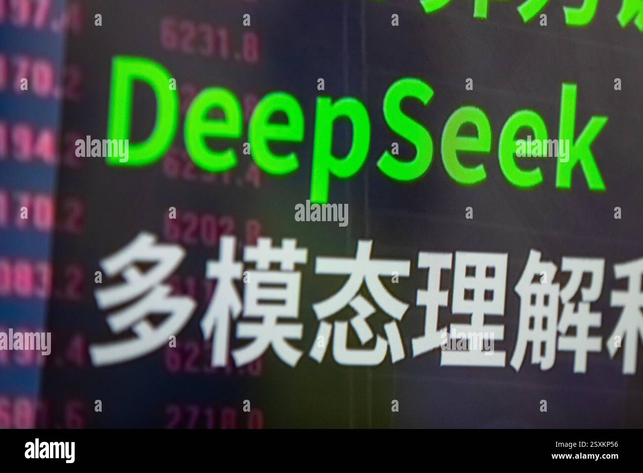 The 2025 Global Developer Conference (GDC) is held in Shanghai, China ...