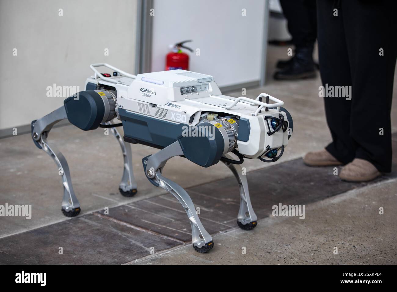 The 2025 Global Developer Conference (GDC) is held in Shanghai, China ...