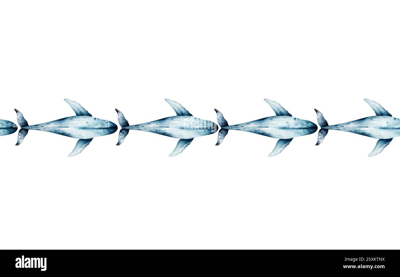 Blue whale seamless banner, border. Top view. Watercolor hand drawn ...